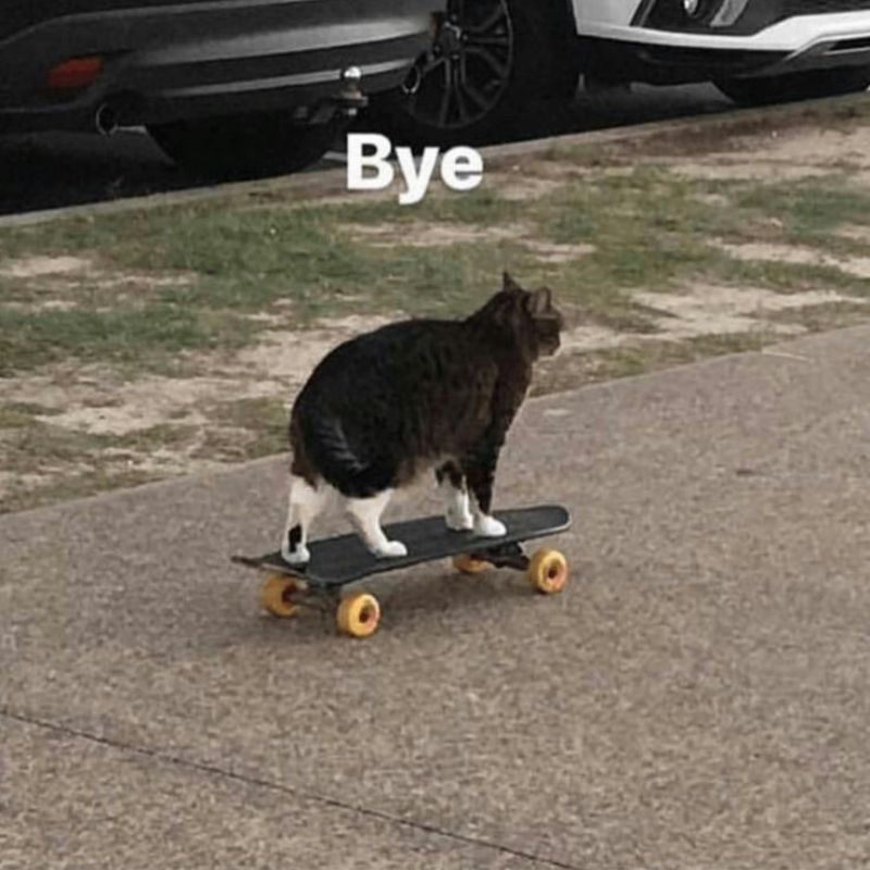 169+ ảnh bye meme hài hước, cute dùng khi muốn rời khỏi cuộc chat