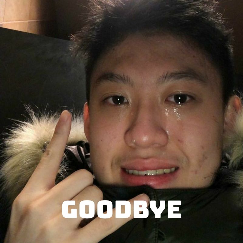 169+ ảnh bye meme hài hước, cute dùng khi muốn rời khỏi cuộc chat