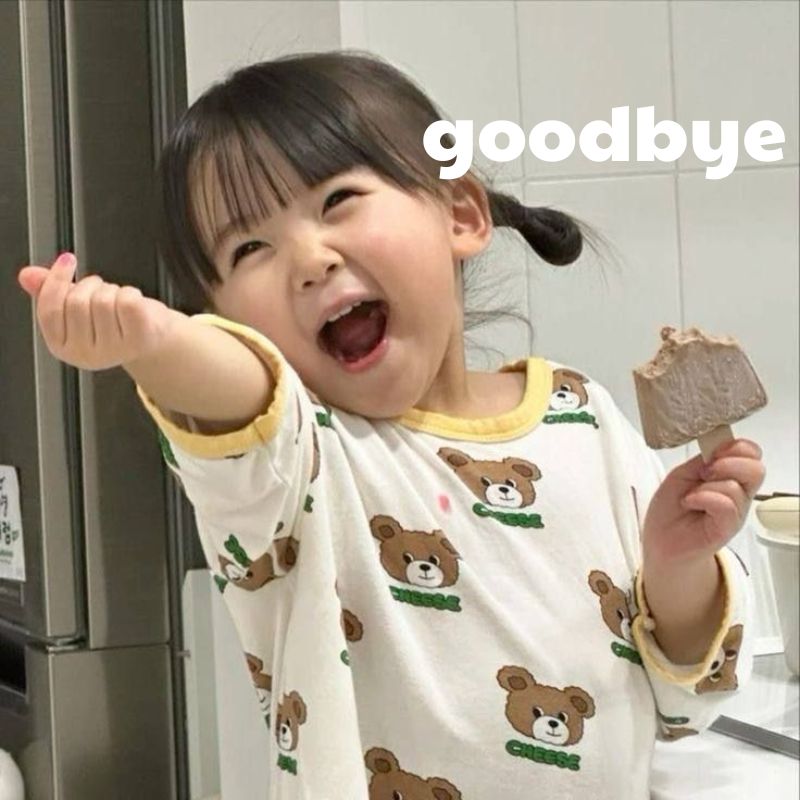 169+ ảnh bye meme hài hước, cute dùng khi muốn rời khỏi cuộc chat