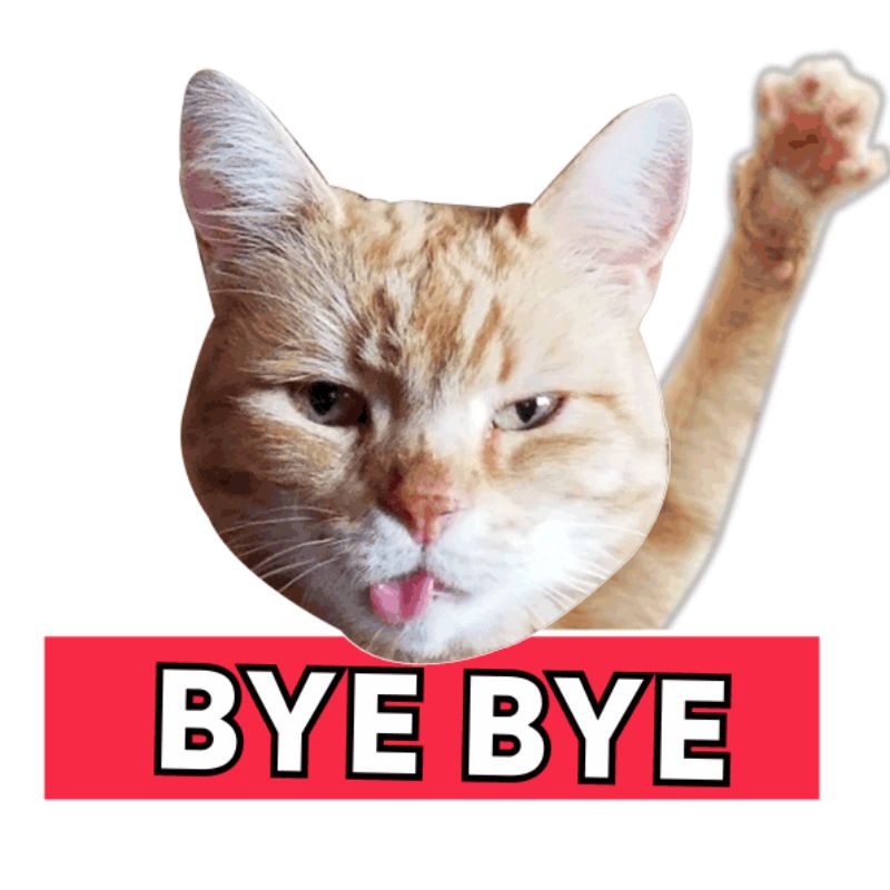 169+ ảnh bye meme hài hước, cute dùng khi muốn rời khỏi cuộc chat