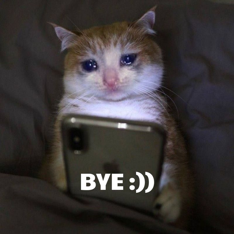 169+ ảnh bye meme hài hước, cute dùng khi muốn rời khỏi cuộc chat